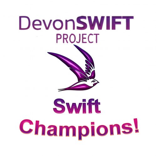 Devon Swift Project
