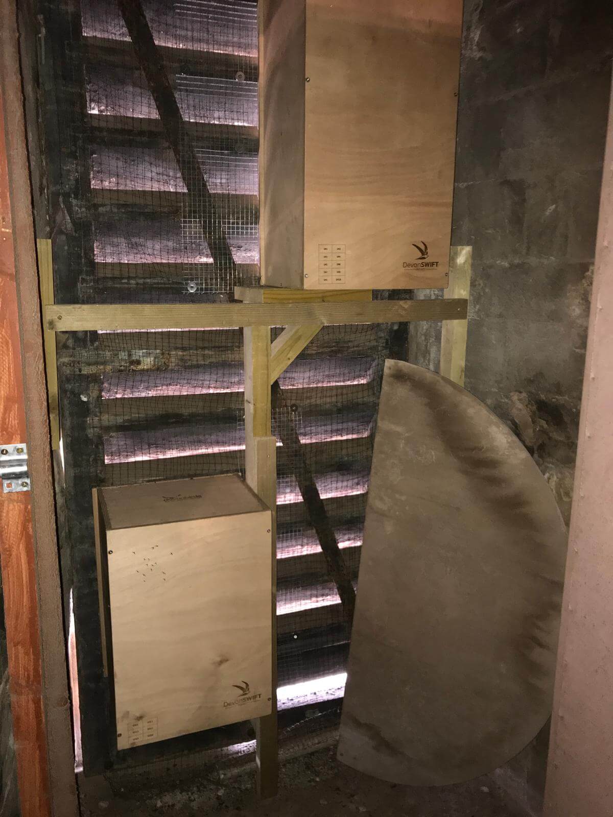 Exeter Cathedral Installation Complete – Devon Swift Project