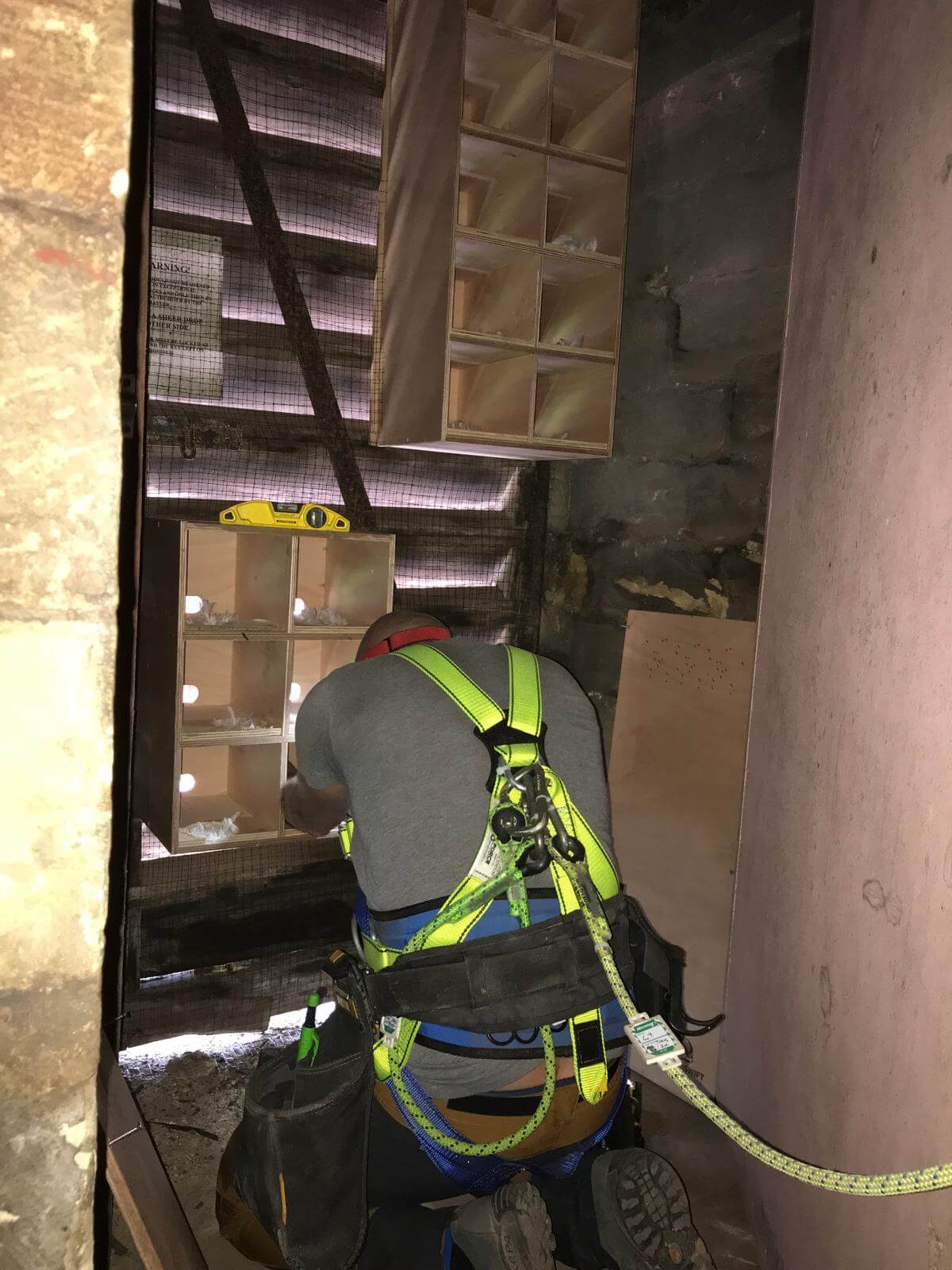 Exeter Cathedral Installation Complete – Devon Swift Project