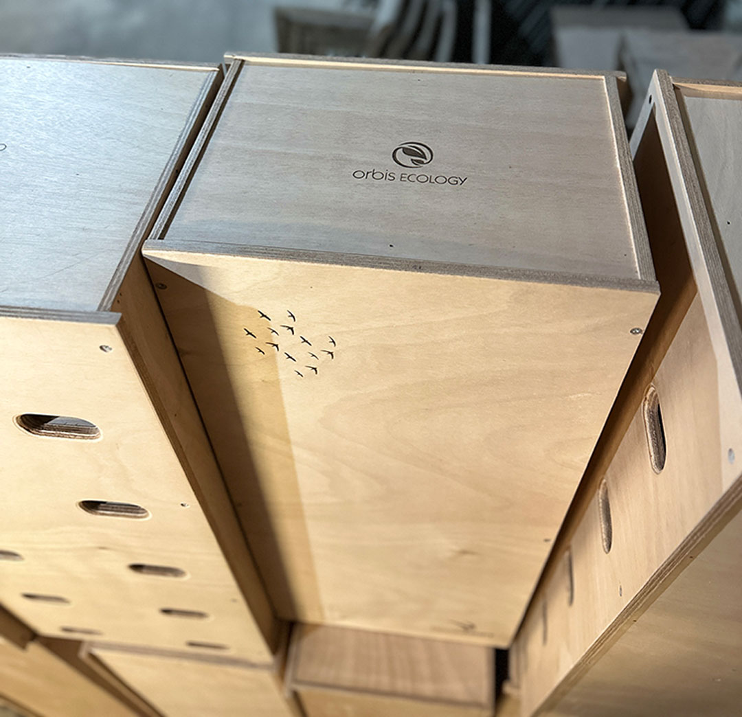 Resources – Devon Swift Project