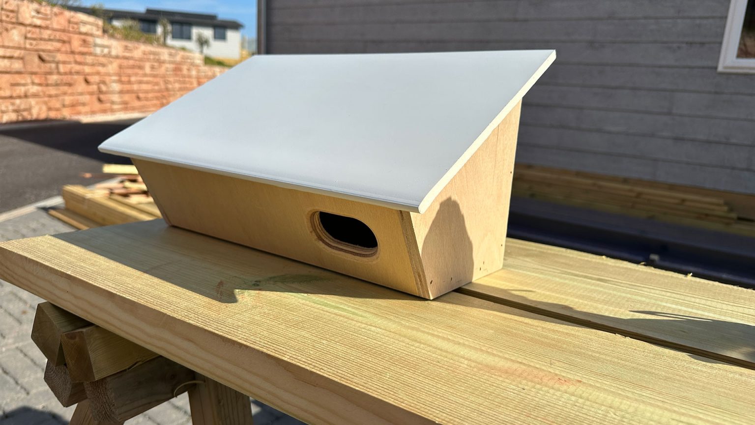Swift Nestbox Installation Recommendations – Devon Swift Project